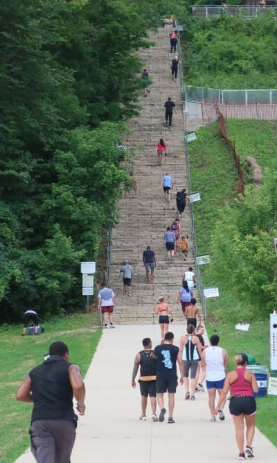 Swallow Cliff | Forest Preserves of Cook County | Upland Design